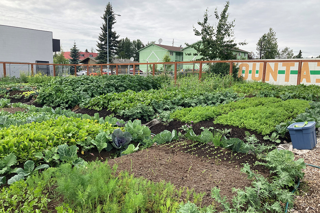 Our Work 2 – Huddle AK